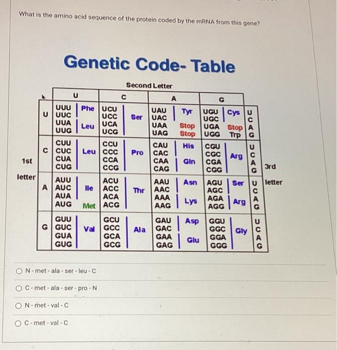 Solved The DNA sequence below comes from the coding strand | Chegg.com