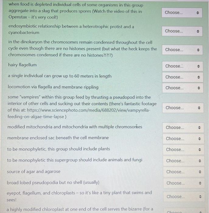 Match the protist supergroup with its characteristic | Chegg.com