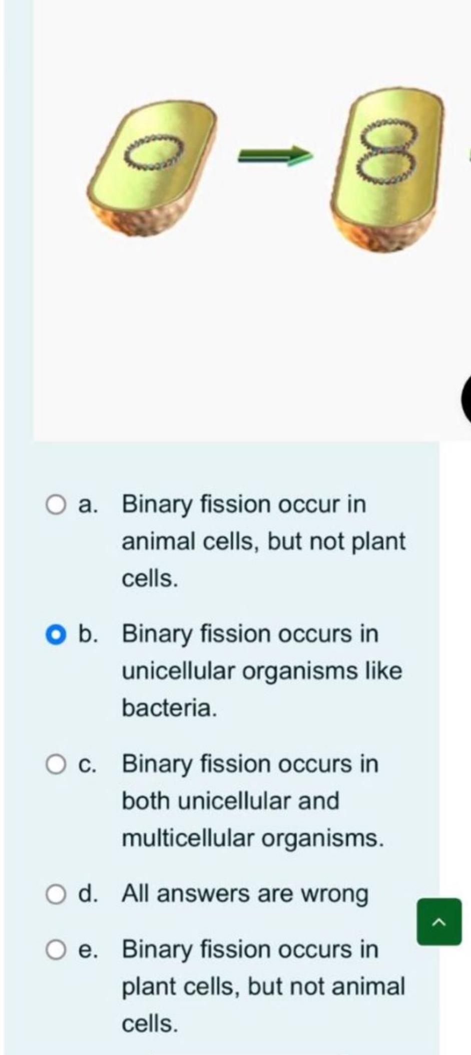 Solved a. ﻿Binary fission occur in animal cells, but not | Chegg.com
