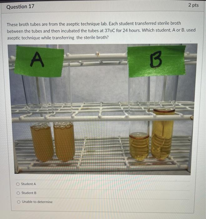 Solved Question 17 2 pts These broth tubes are from the | Chegg.com