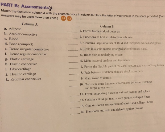 Solved A2 A3 PART B: Assessments Match the tissues in column | Chegg.com