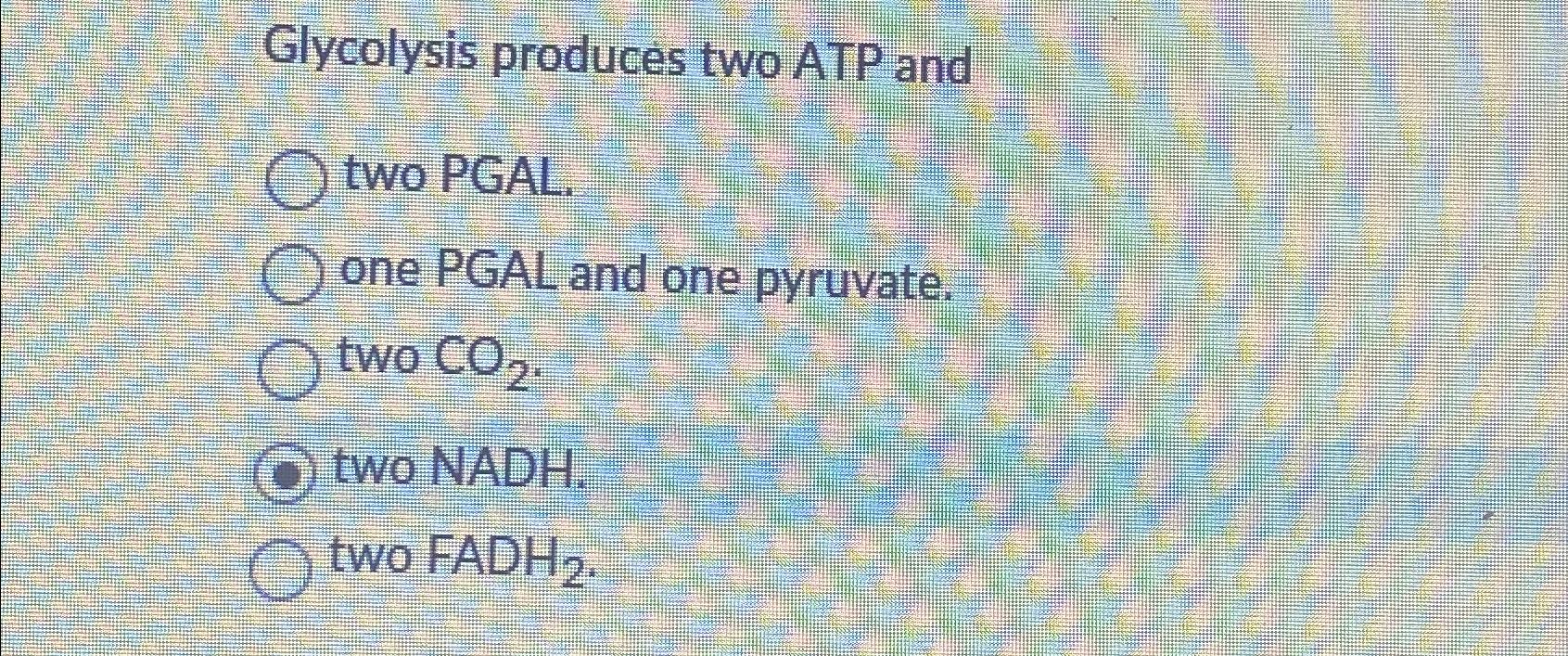 Solved Glycolysis produces two ATP andtwo PGAL.one PGAL and | Chegg.com