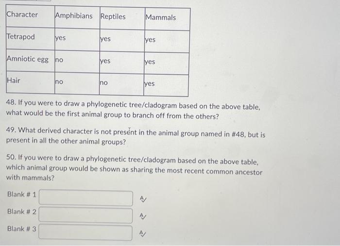 Solved 48. If you were to draw a phylogenetic tree/cladogram | Chegg.com