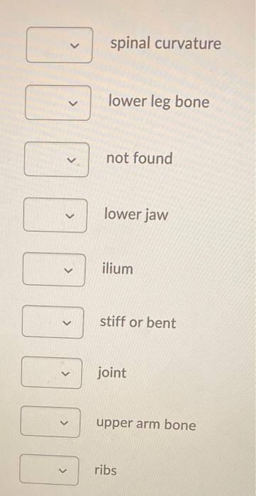 Solved Match the root / combining forms with their meaning | Chegg.com