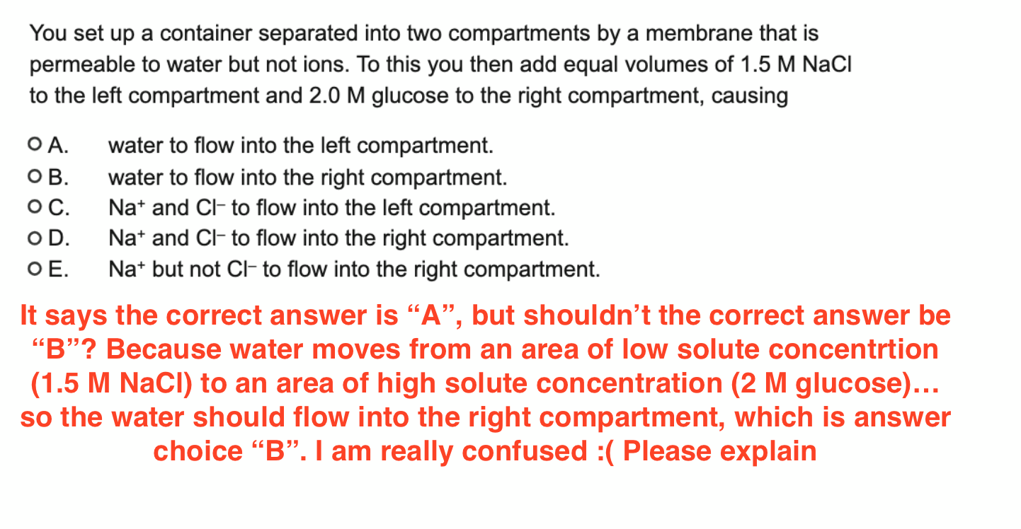 Solved You set up a container separated into two | Chegg.com