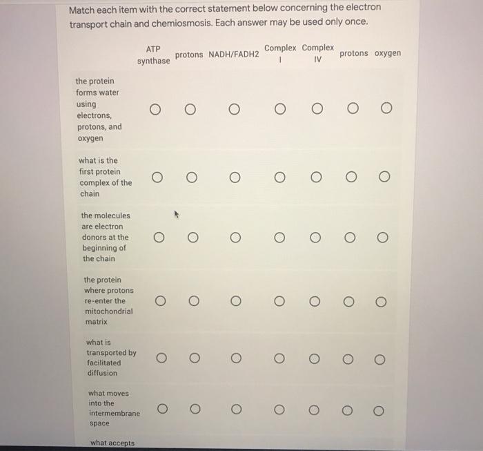 Solved Match each item with the correct statement below | Chegg.com
