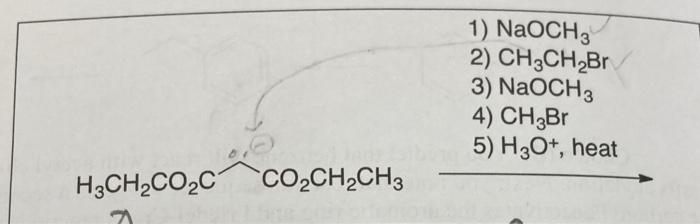 Solved 1) NaOCH3 2) CH3CH2Br 3) NaOCH3 4) CH3Br 5) H3O+, | Chegg.com