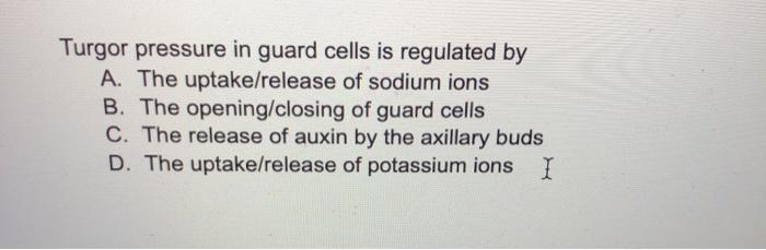 Solved Turgor pressure in guard cells is regulated by A. The | Chegg.com