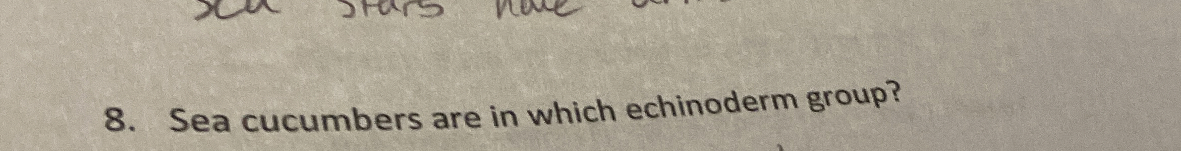 Solved Sea cucumbers are in which echinoderm group? | Chegg.com