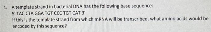 Solved 1. A template strand in bacterial DNA has the | Chegg.com