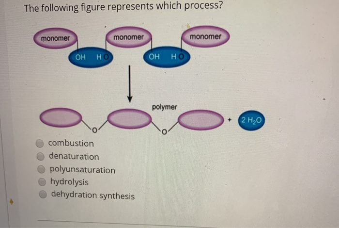 Solved The following figure represents which process? | Chegg.com