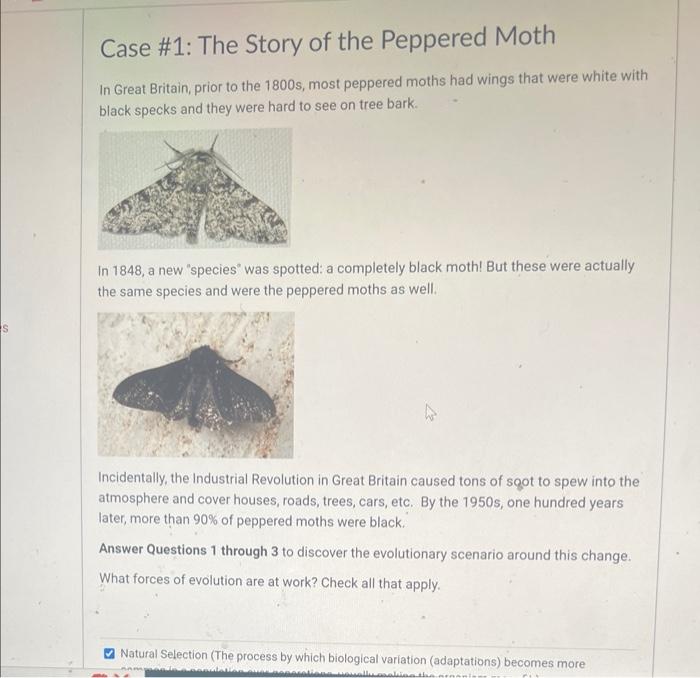 Solved Case \#1: The Story of the Peppered Moth In Great | Chegg.com
