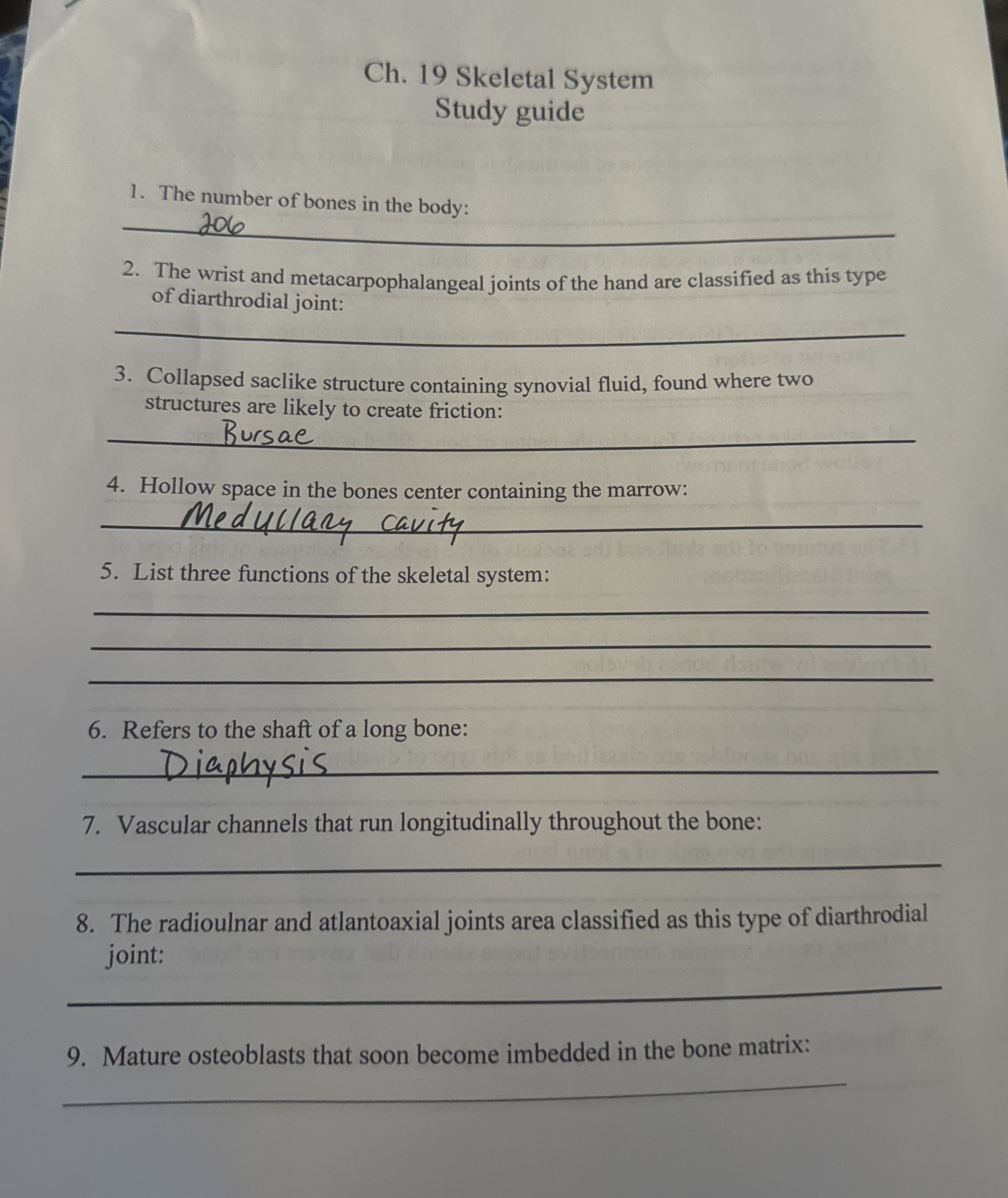 Solved Ch. 19 ﻿Skeletal SystemStudy guideThe number of bones | Chegg.com