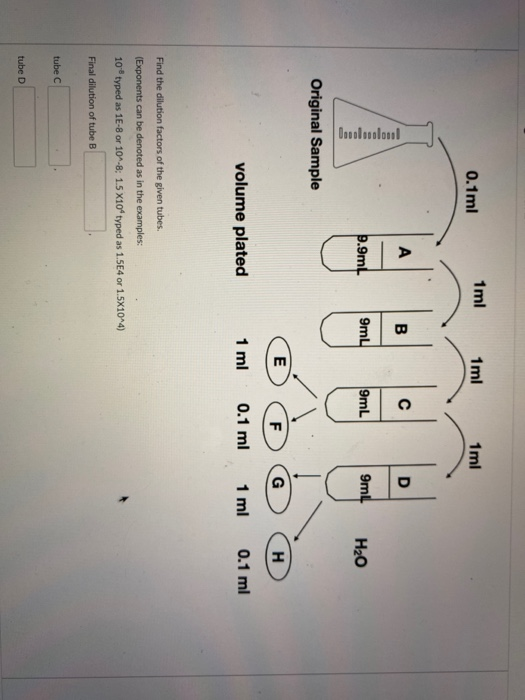 Solved 2 0.1ml 1ml 1ml 1ml А с D D.ml Oml Sml. Om H20 | Chegg.com