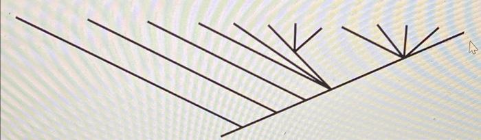Solved This matrix contains molecular character data for the | Chegg.com