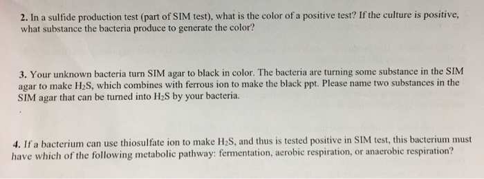 Solved 2. In a sulfide production test (part of SIM test), | Chegg.com