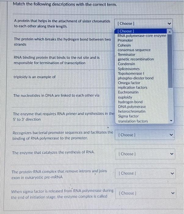 Solved Match the following descriptions with the correct | Chegg.com