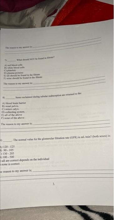 Solved 7 What itowal NOT be found in file:tet A) red Nocel | Chegg.com