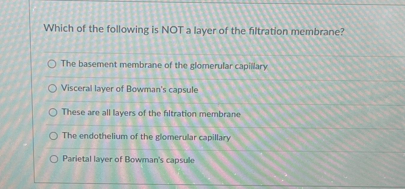 Solved Which of the following is NOT a layer of the | Chegg.com