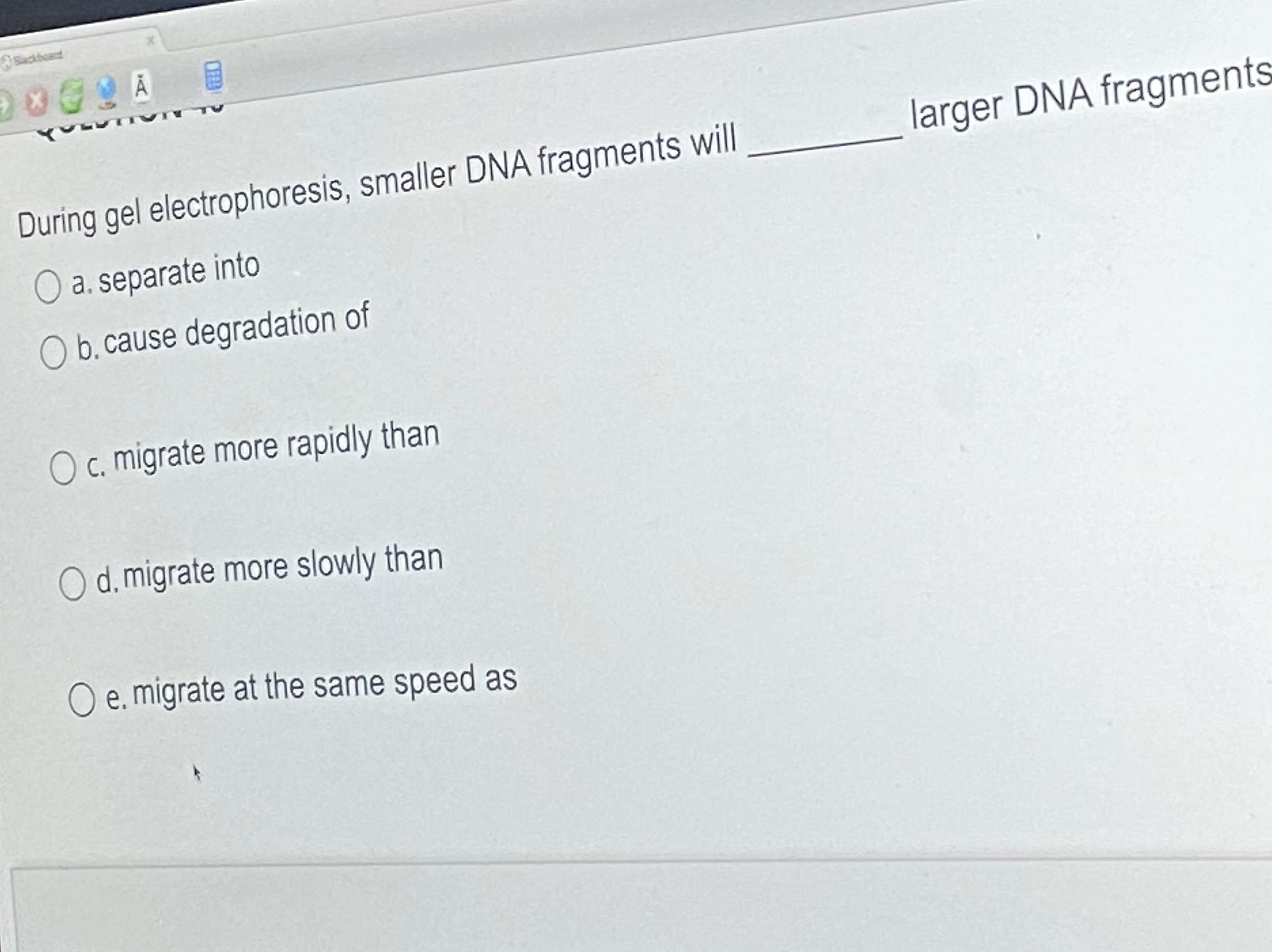 Solved During gel electrophoresis, smaller DNA fragments | Chegg.com