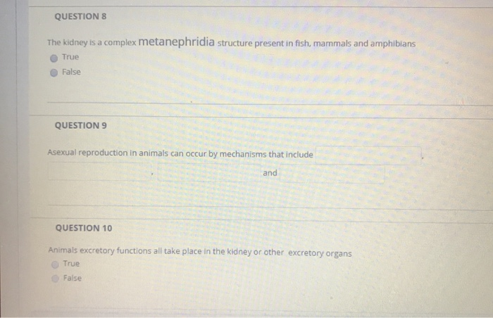Solved QUESTION 8 The kidney is a complex metanephridia | Chegg.com