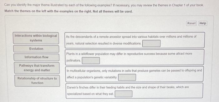 Solved Can you identify the major theme illustrated by each | Chegg.com