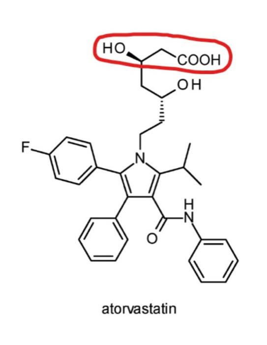 Solved The structure of statins and the | Chegg.com