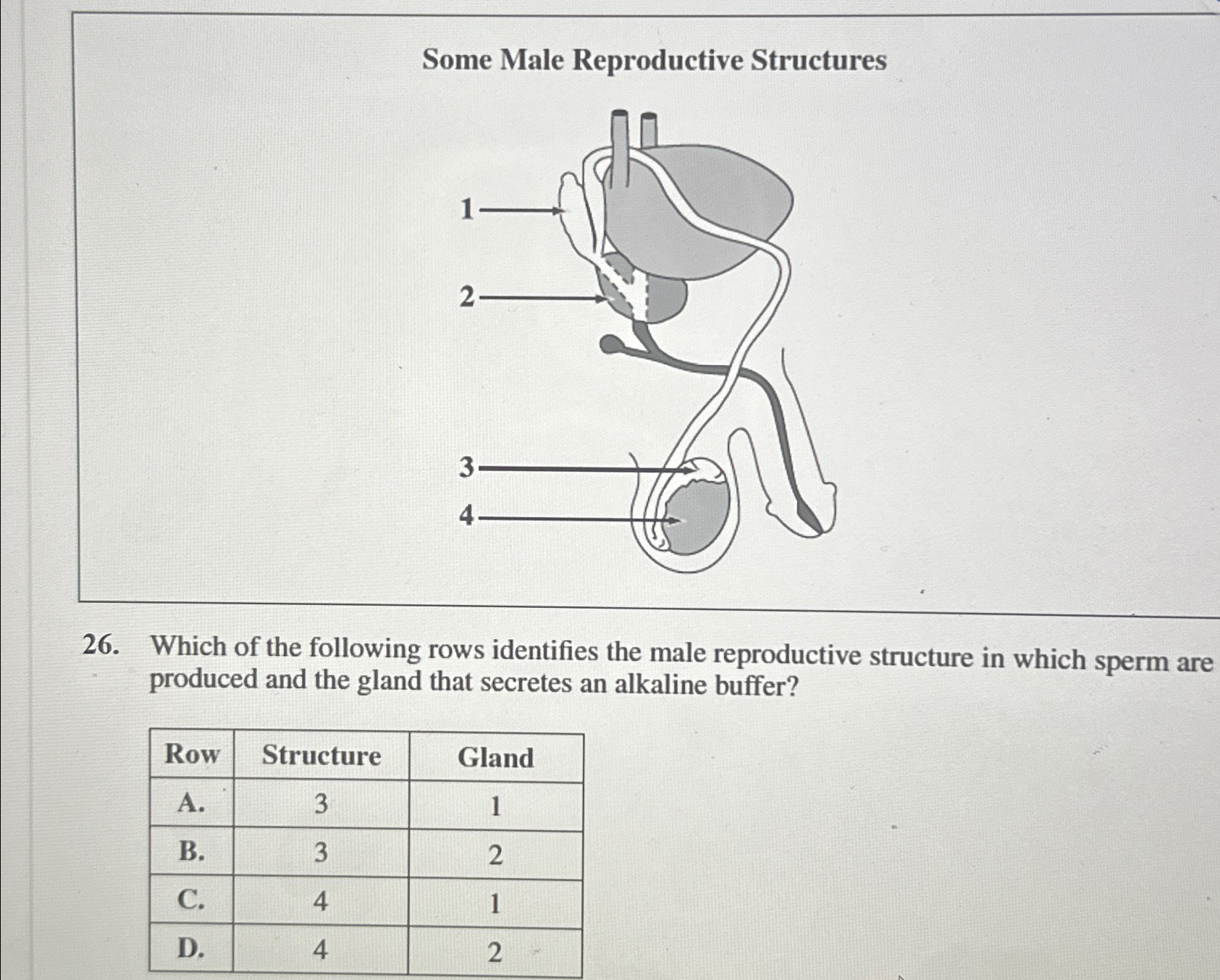 Solved Some Male Reproductive Structures26. ﻿Which of the | Chegg.com