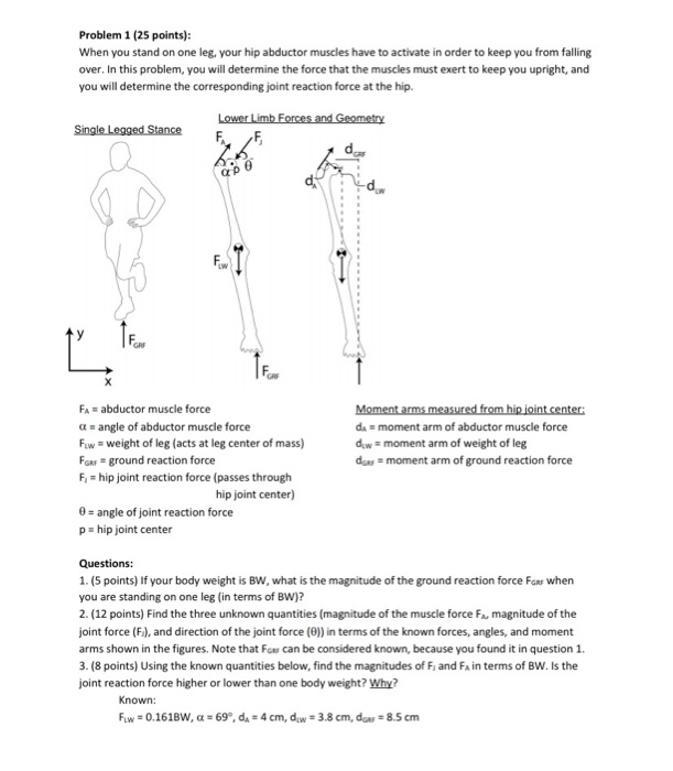 Problem 1 (25 points): When you stand on one leg. | Chegg.com