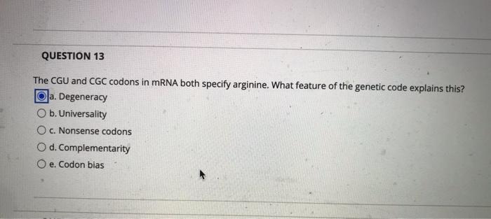 Solved QUESTION 13 The CGU and CGC codons in mRNA both | Chegg.com