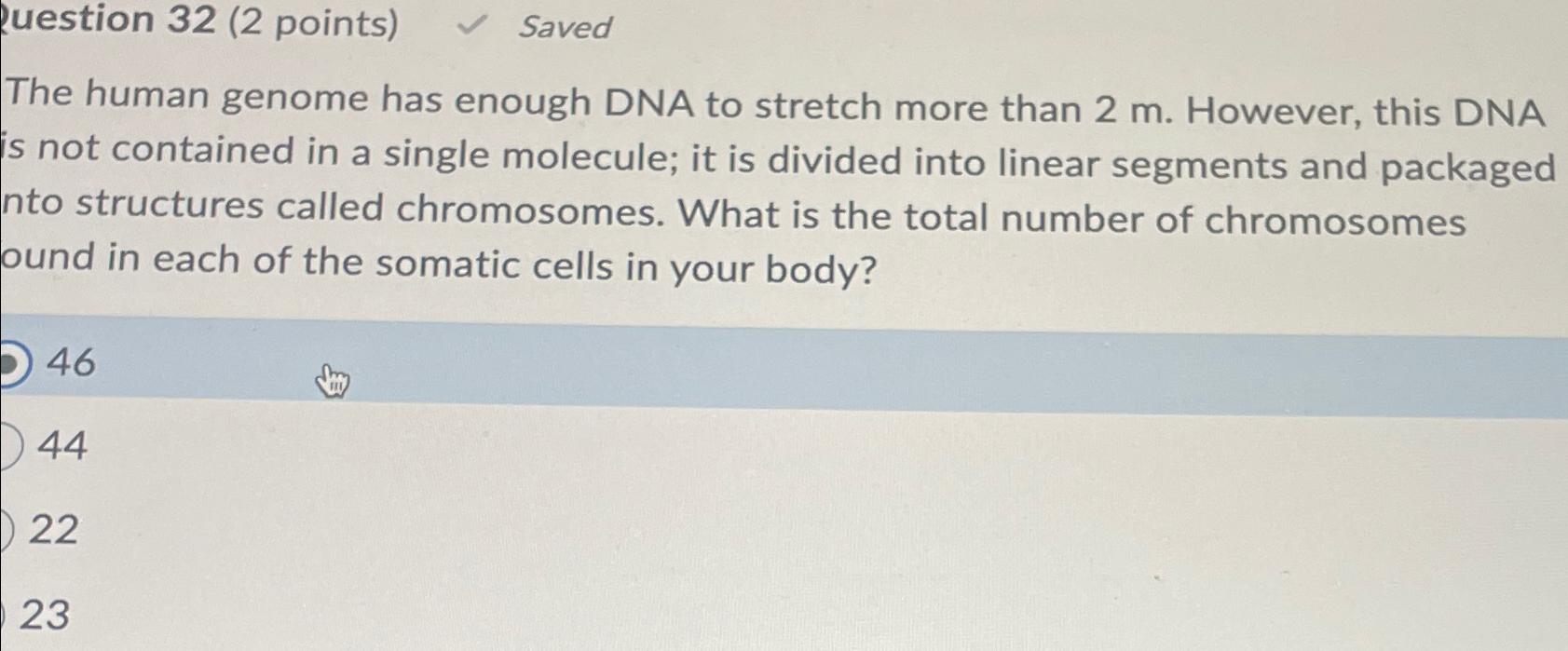 Solved Ruestion 32 (2 ﻿points) ﻿SavedThe human genome has | Chegg.com