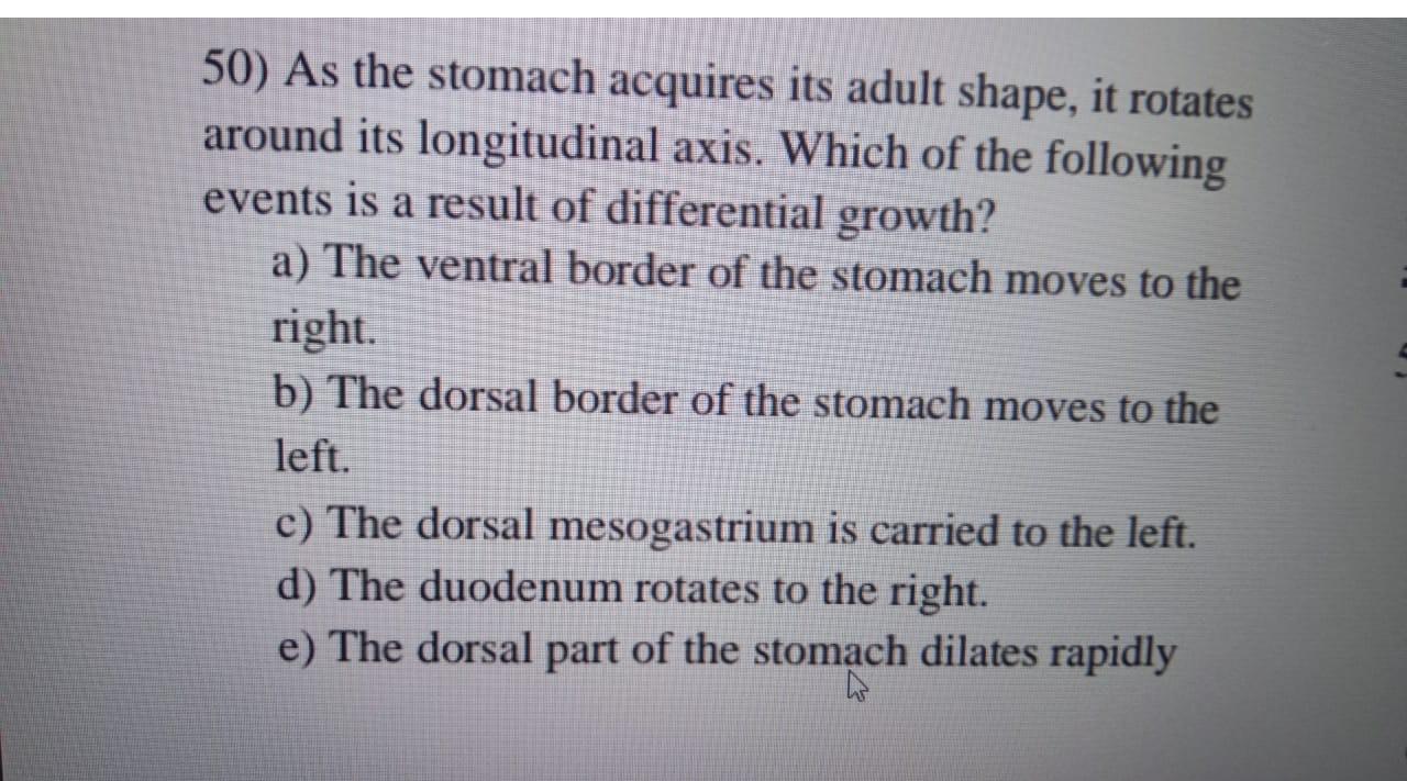 Solved As the stomach acquires its adult shape, it rotates | Chegg.com