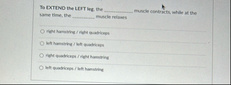 Solved To EXTEND the LEFT leg, the ﻿muscle contracts, | Chegg.com