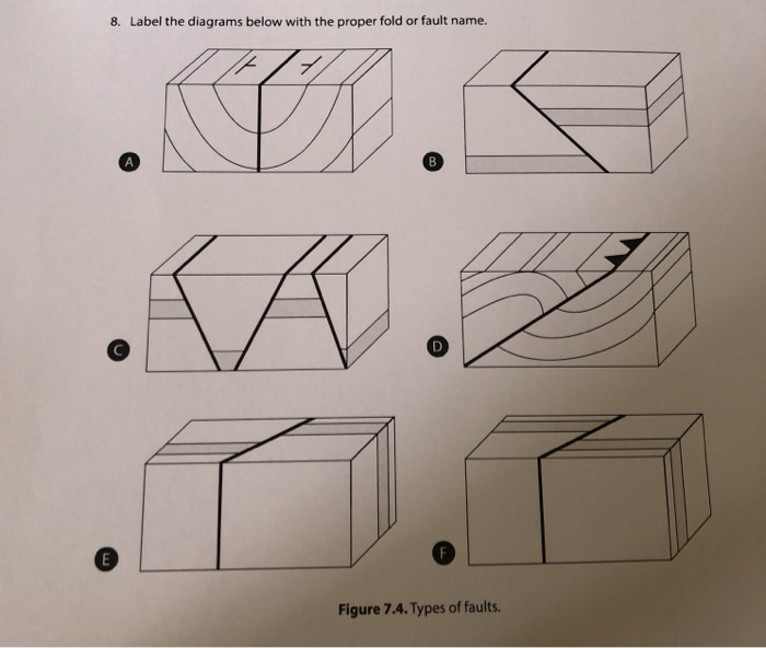 Solved 8. Label the diagrams below with the proper fold or | Chegg.com