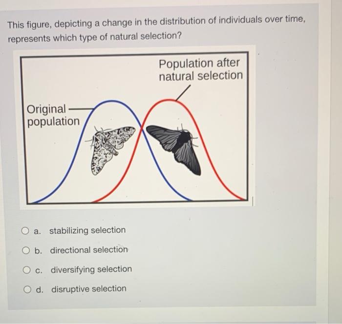 Solved This figure, depicting a change in the distribution | Chegg.com