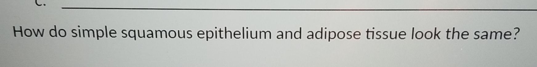 Solved How do simple squamous epithelium and adipose tissue | Chegg.com