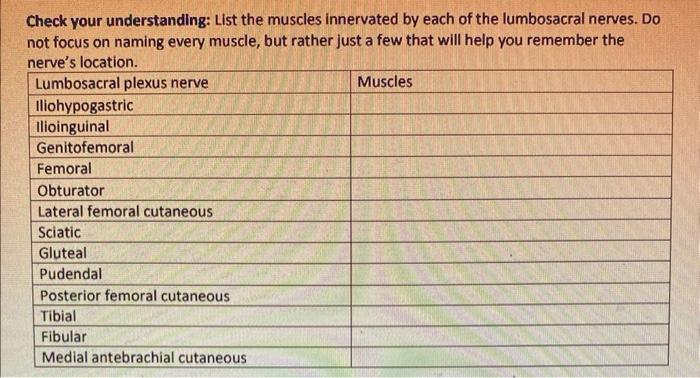 Solved Check your understanding: List the muscles innervated | Chegg.com