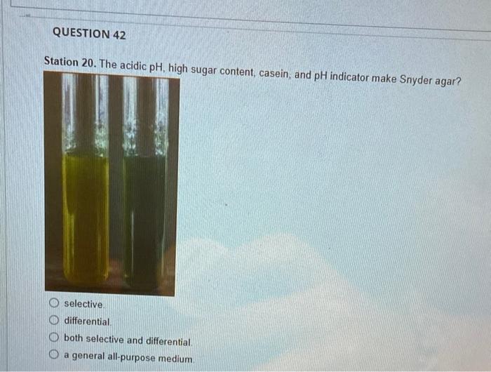 Solved QUESTION 42 Station 20. The acidic pH, high sugar | Chegg.com