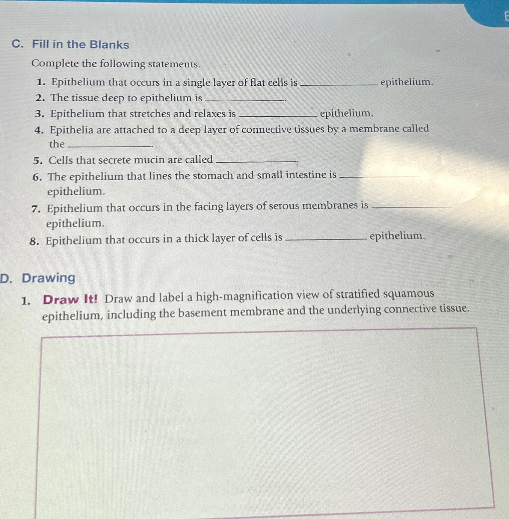 Solved C. ﻿Fill in the BlanksComplete the following | Chegg.com