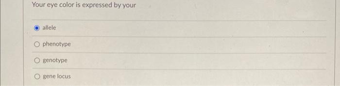 Solved Your eye color is expressed by your allele phenotype | Chegg.com