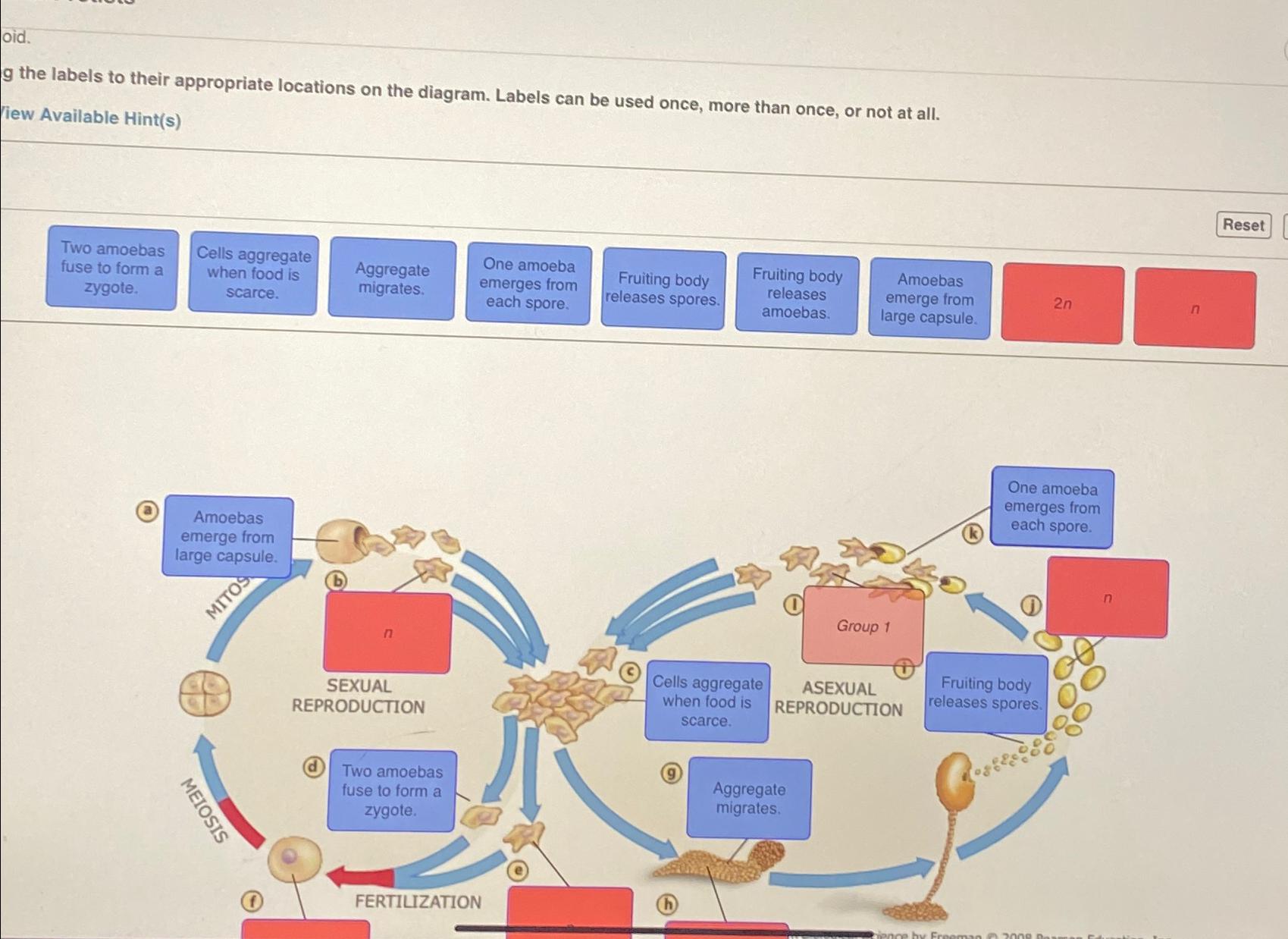 Solved oid.g the labels to their appropriate locations on | Chegg.com