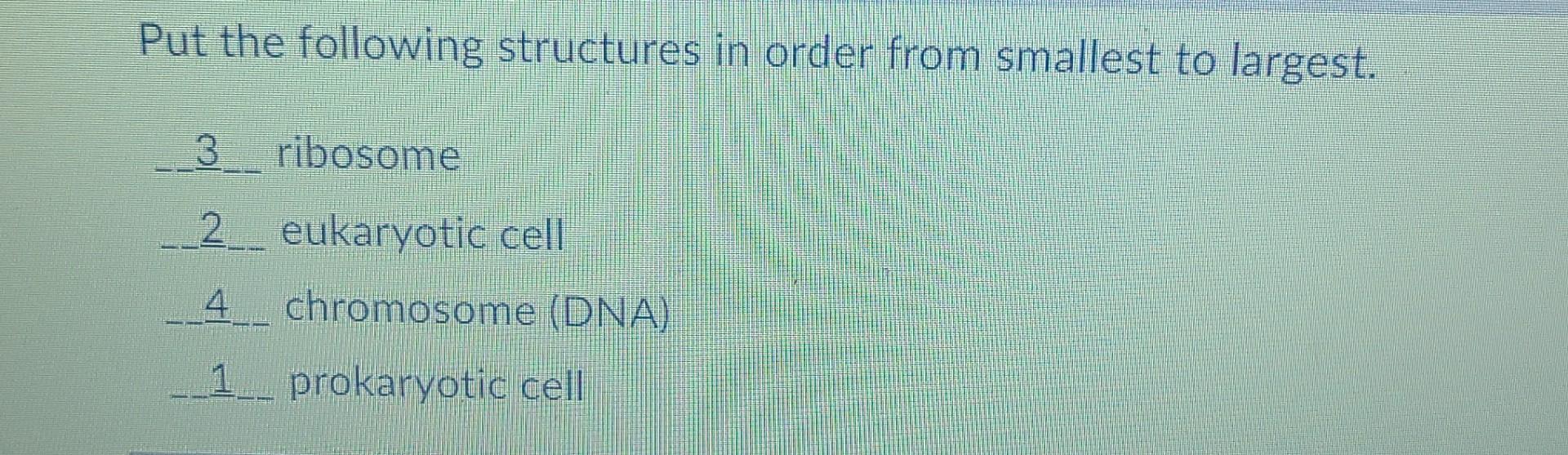 Solved Put the following structures in order from smallest | Chegg.com