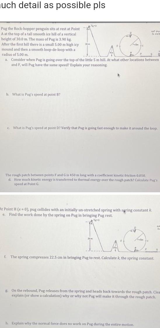 Solved uch detail as possible pls Pug the Rock-hopper | Chegg.com