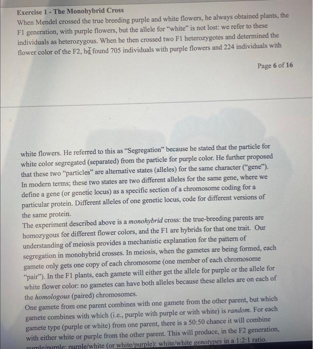 Solved Protocol 2: 1. Observe the image of a cob of corn in | Chegg.com