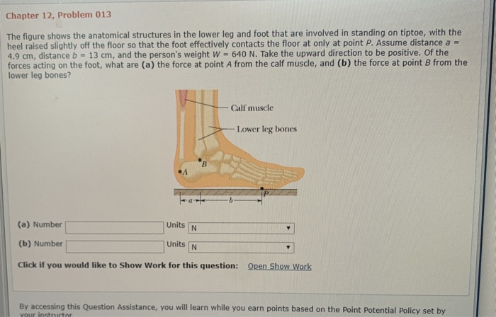 Solved Chapter 12, Problem 013 The figure shows the | Chegg.com