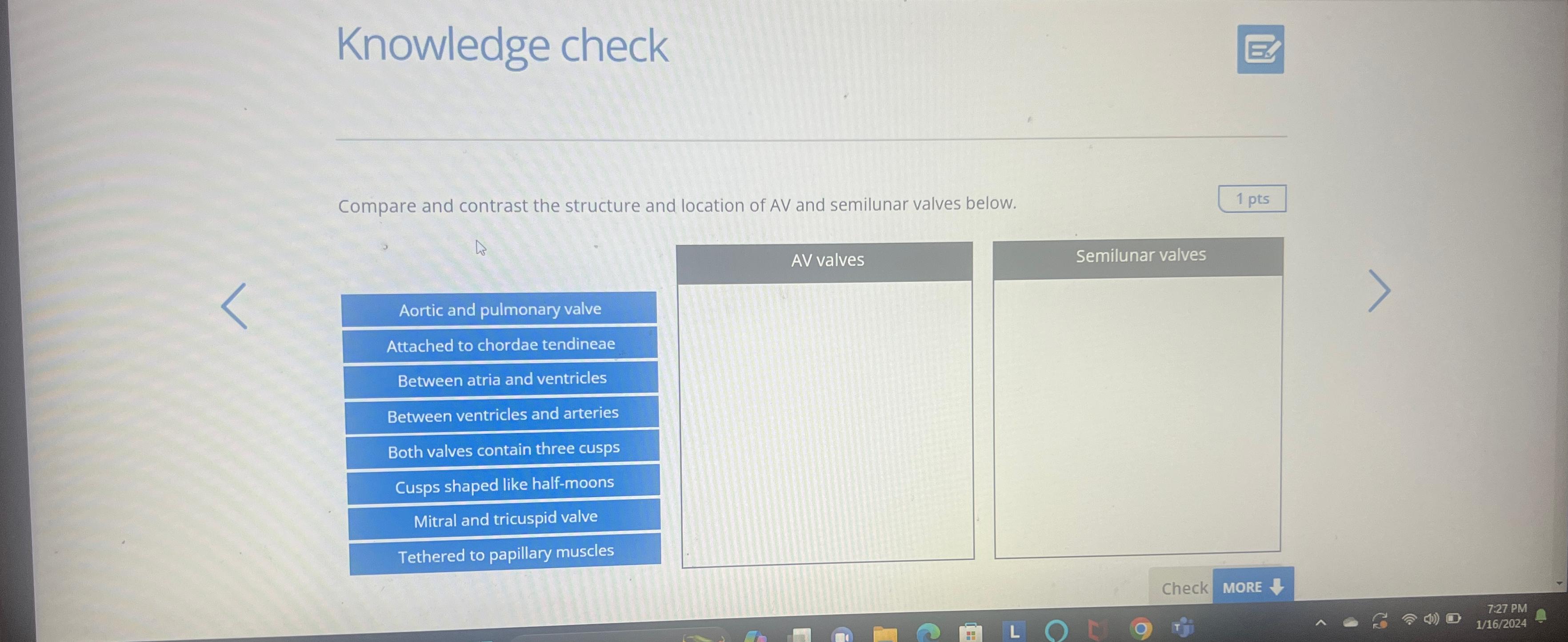 Solved Knowledge checkCompare and contrast the structure and | Chegg.com