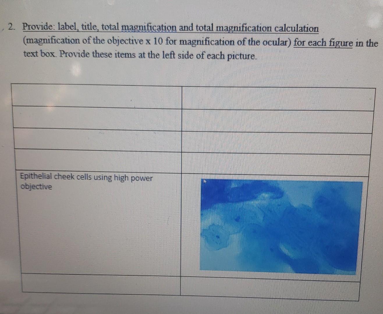 3. What does "depth of field" mean in microscopy? How | Chegg.com