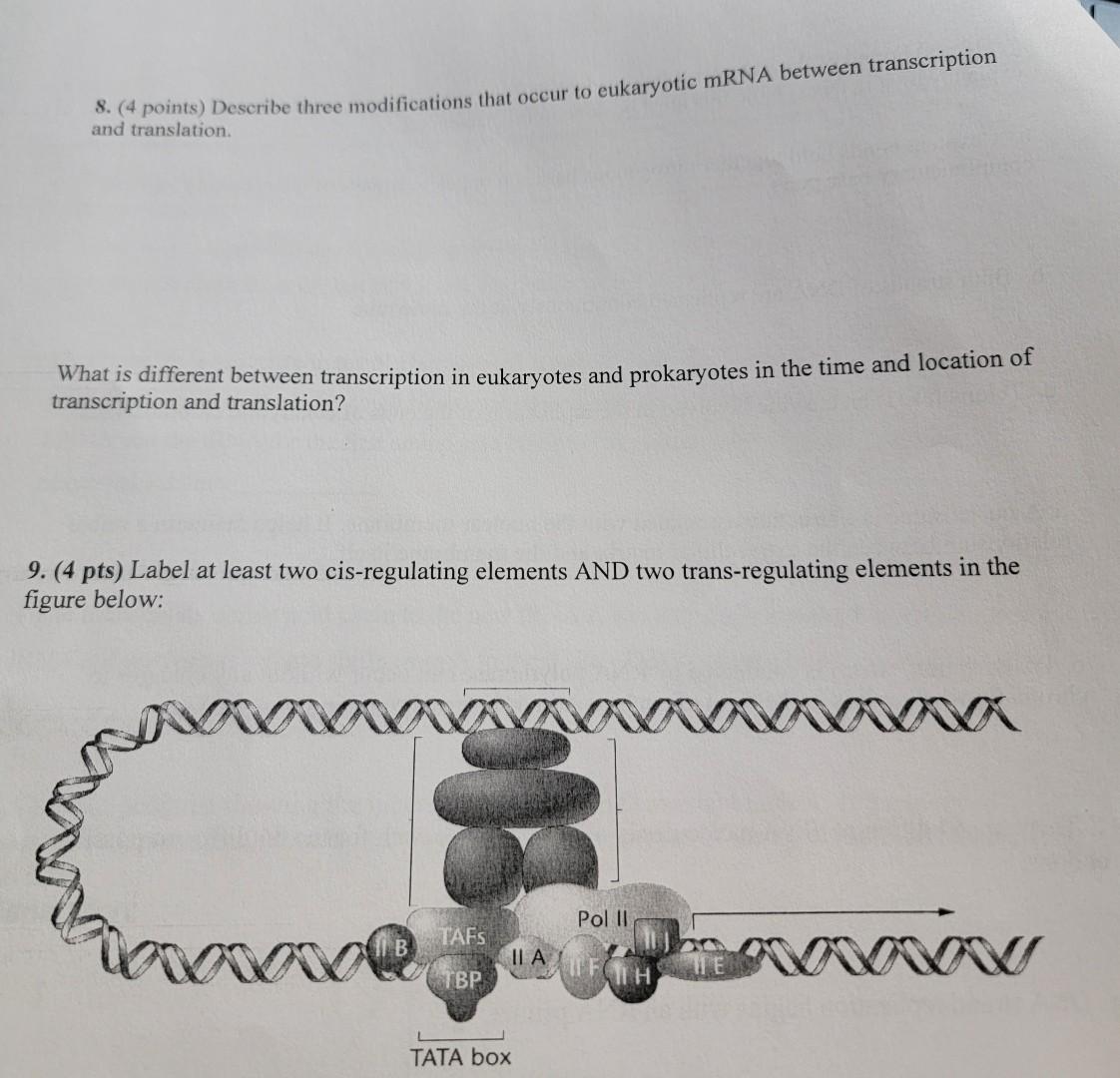 Solved 8. (4 points) Describe three modifications that occur | Chegg.com