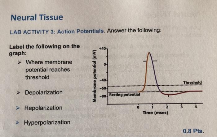 Solved Neural Tissue LAB ACTIVITY 3: Action Potentials. | Chegg.com