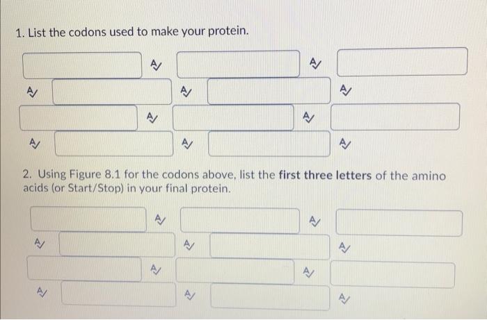 1. List the codons used to make your protein. 2. | Chegg.com